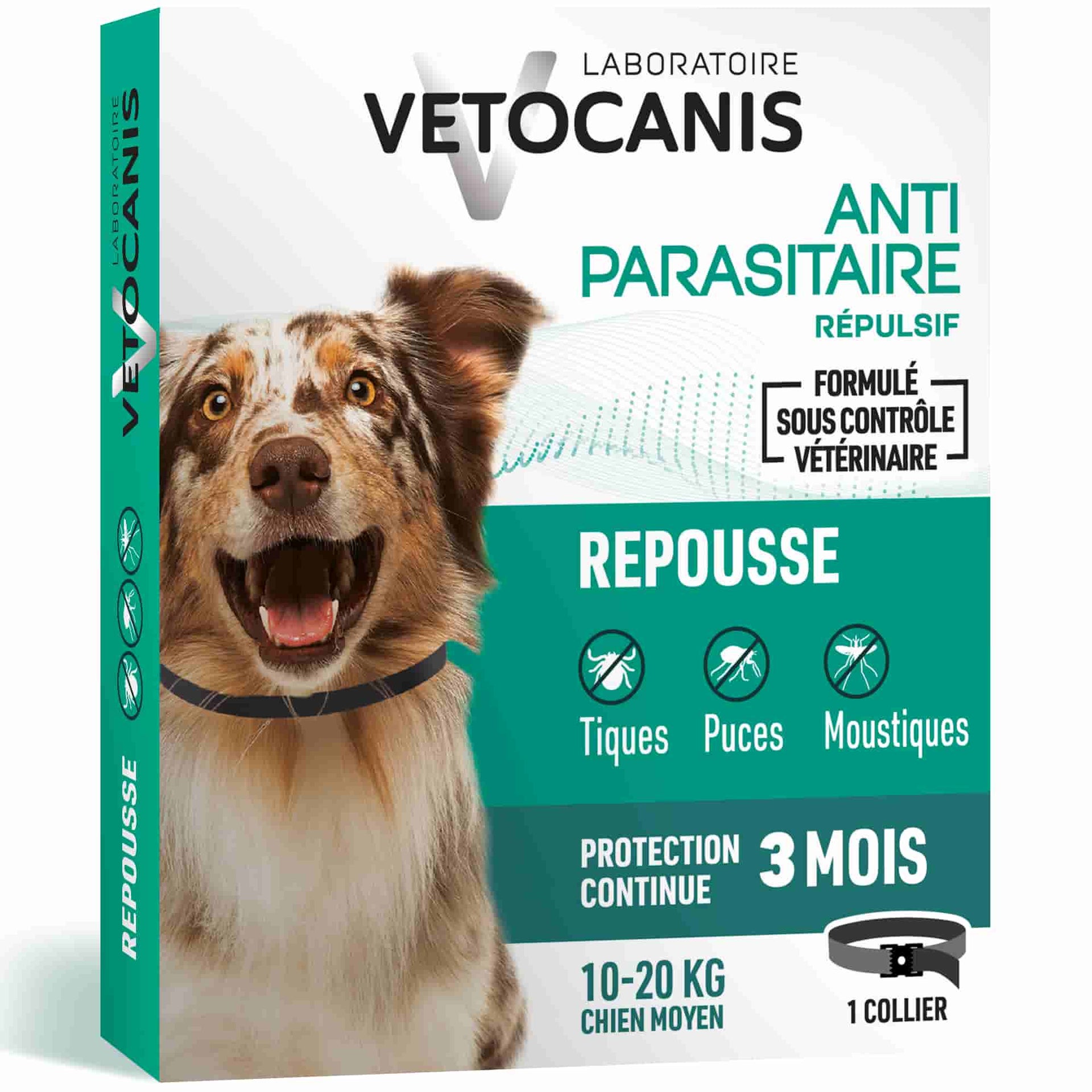 Les parasites du chien : les reconnaître et les traiter | Vetocanis