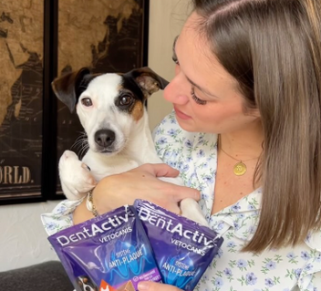 La dermatite par allergie aux piqures de puces ou DAPP chez le chat ...