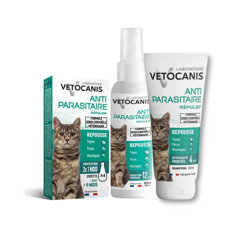 Aoûtats du chat : symptômes, traitements naturels et prévention | Vetocanis