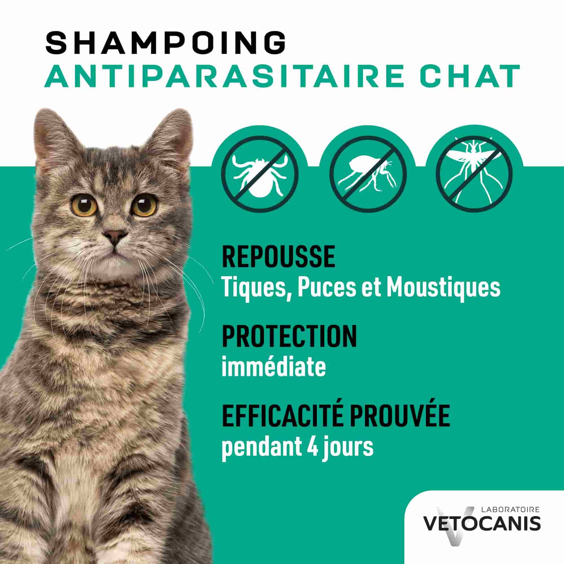 Anti-puce et anti-tique pour chat | Vetocanis