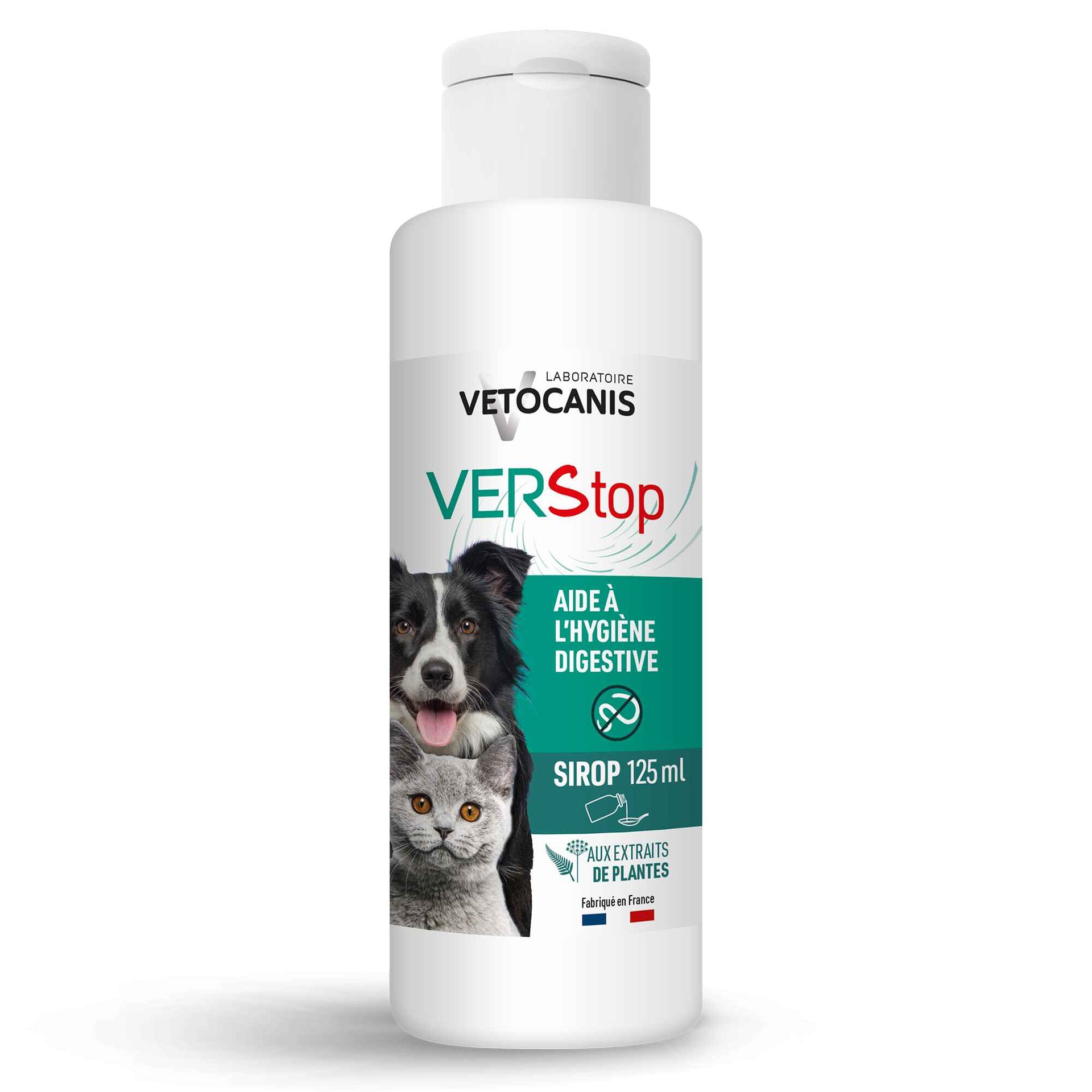 Vers ronds chez le chat : symptômes, traitement – Vetocanis