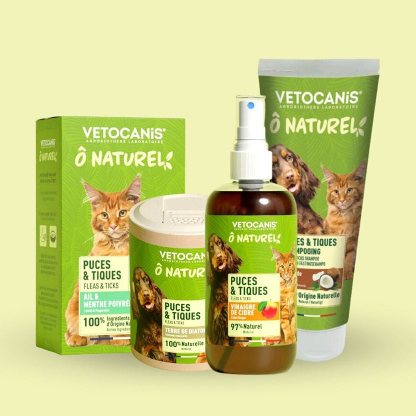 Aoûtats du chat : symptômes, traitements naturels et prévention | Vetocanis