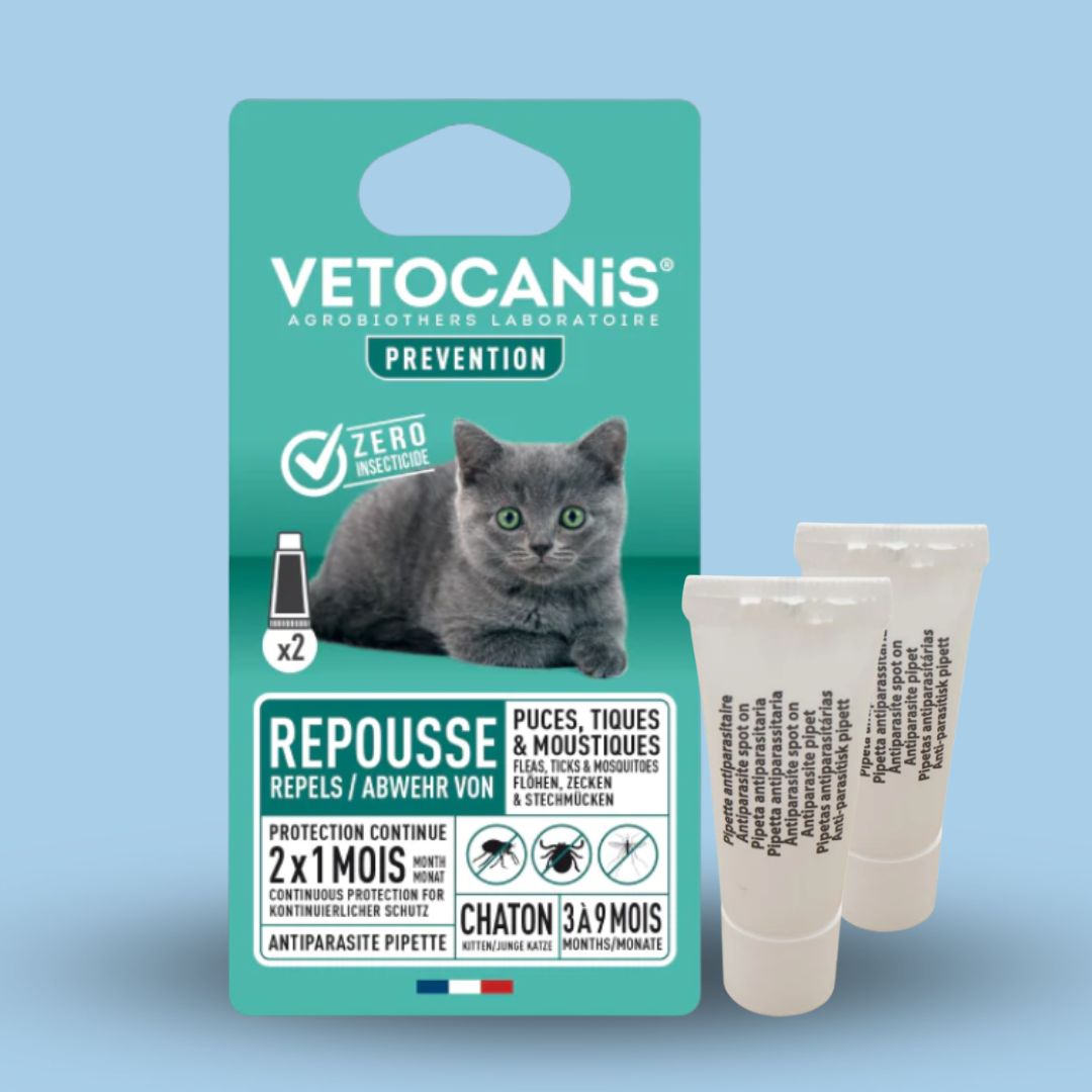Pipettes Anti-Puces Anti-Tiques Anti-Moustiques Répulsives pour Chat e ...