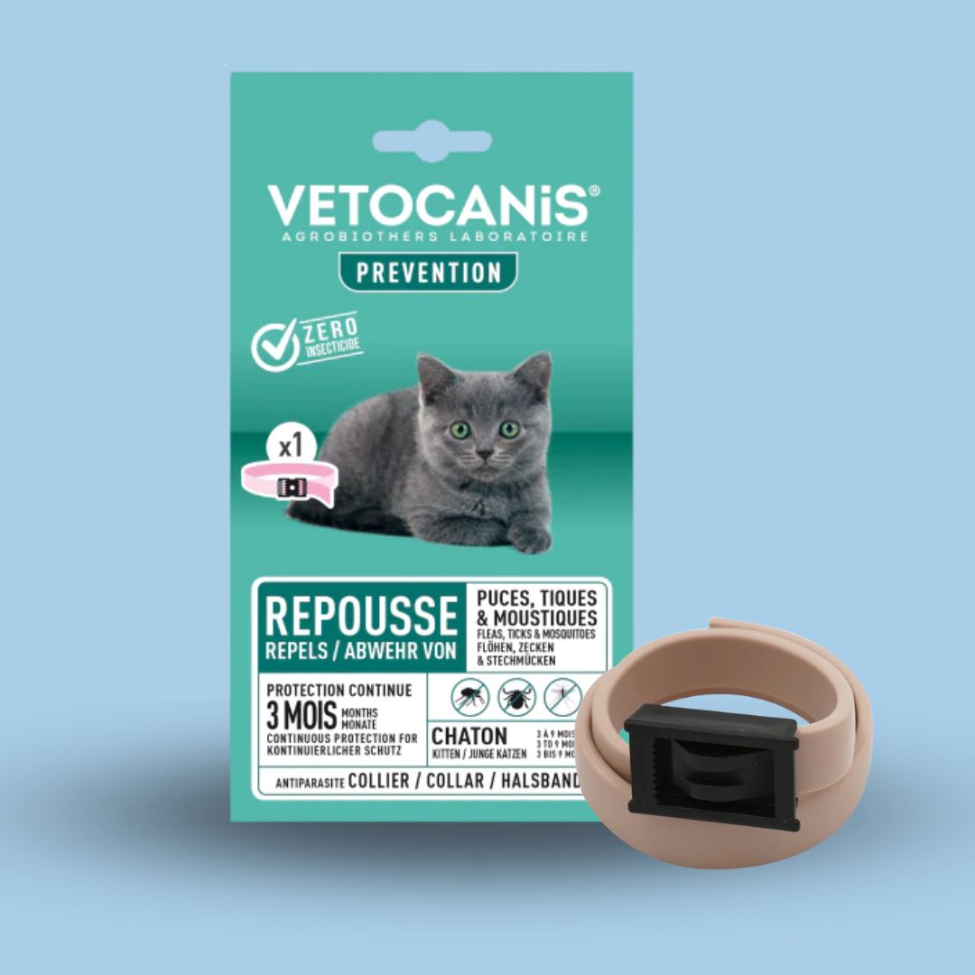 Collier Anti-Puces Anti-Tiques Répulsif pour Chat et Chaton – Vetocanis