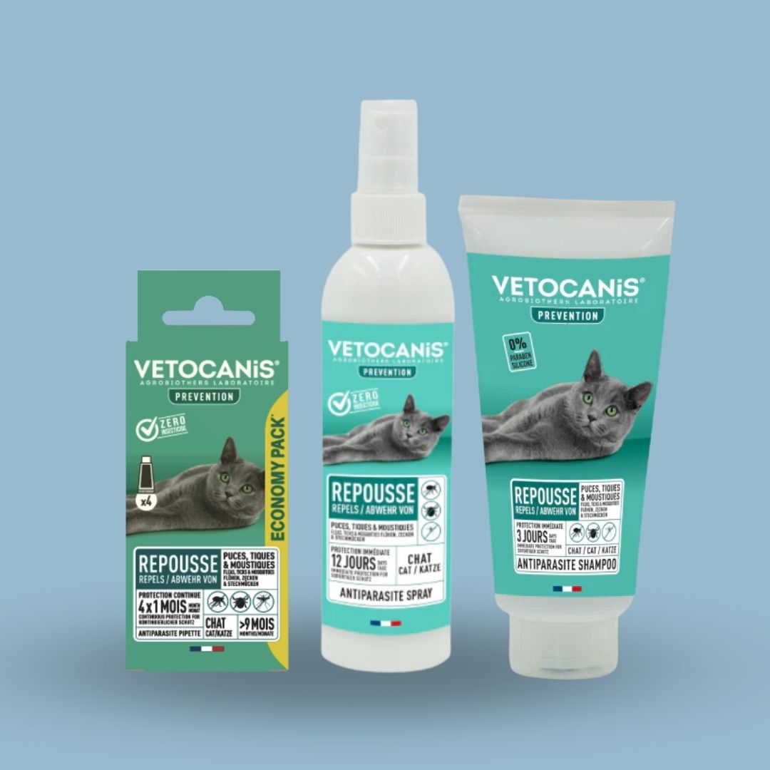 Anti-puce et anti-tique pour chat | Vetocanis
