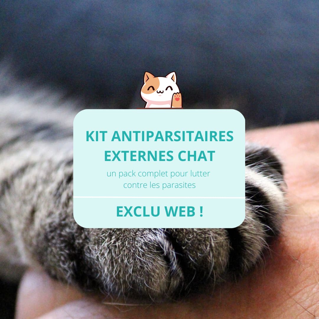 Kit Antiparasitaires Externes Chat – Vetocanis