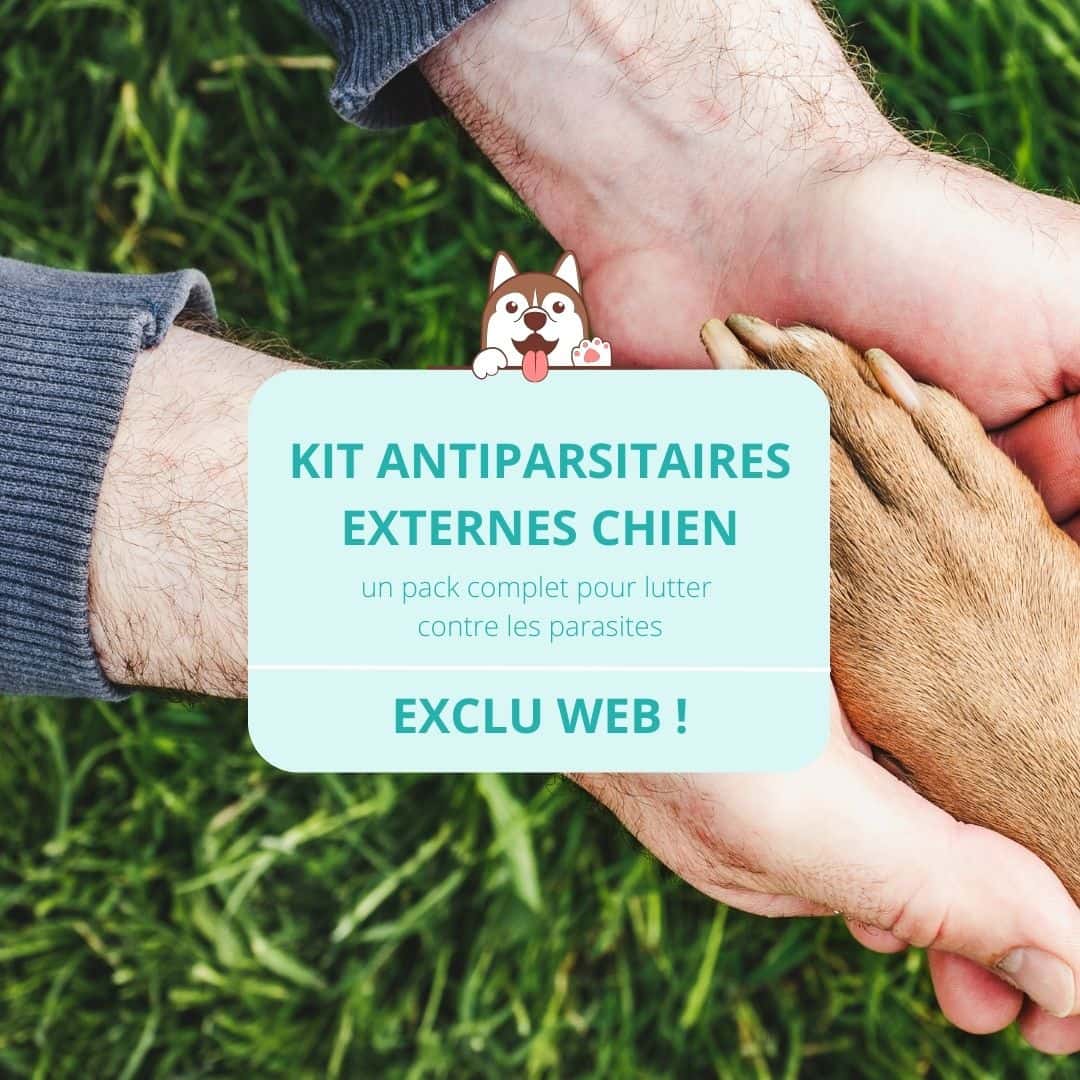 Kit Antiparasitaires Externes Chien – Vetocanis